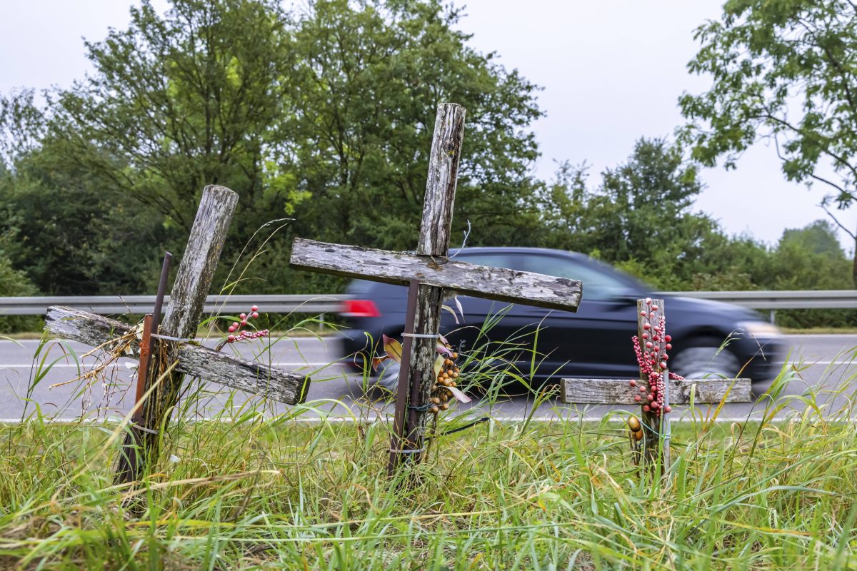 Thüringen: Experten warnen vor Lebensgefahr im Wald! - Thueringen24 Thüringen: Experten warnen vor Lebensgefahr im Wald! - Thueringen24